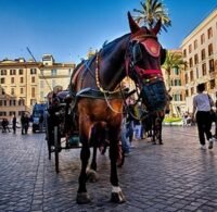 Travel agency in Rome, tour operator in Rome, travel agent Rome